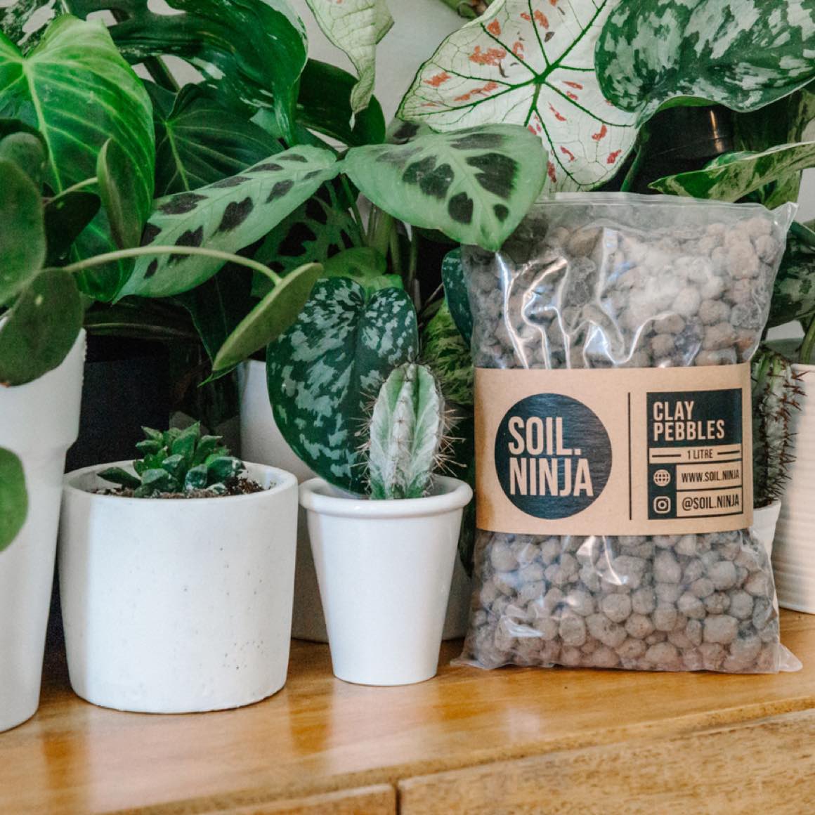 Clay Pebbles – PROTEA FLOWERS